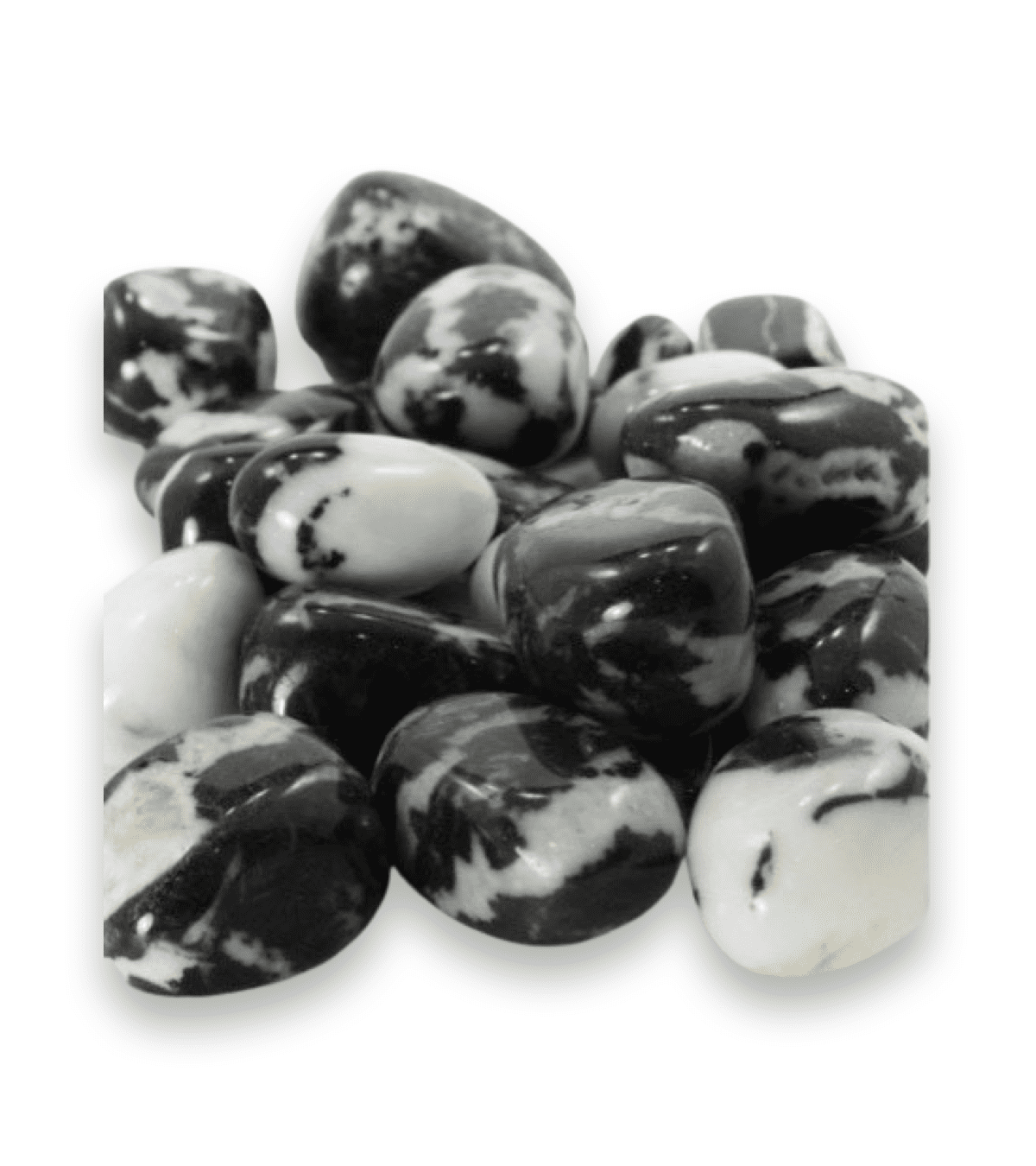 Tumbled Stone: Zebra Stone - Qi Crystals
